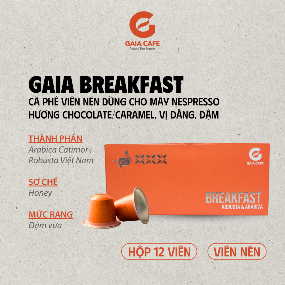 [Hộp 12 viên] Cà phê viên nén GAIA BREAKFAST | Vị Caramel đậm | Gaia ...