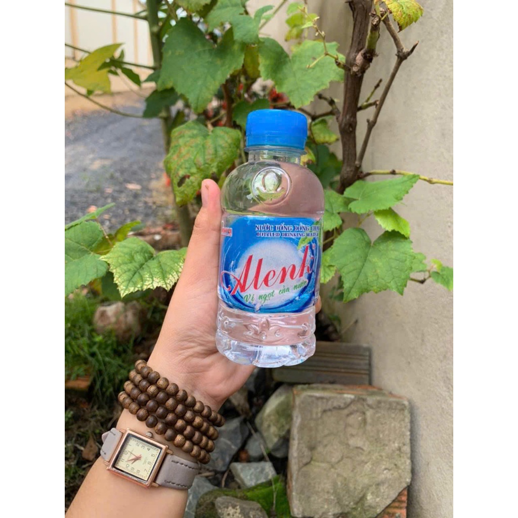 Combo 2 lốc nước tinh khiết đóng chai Alenk 250ml - Giao nước suối chai ...