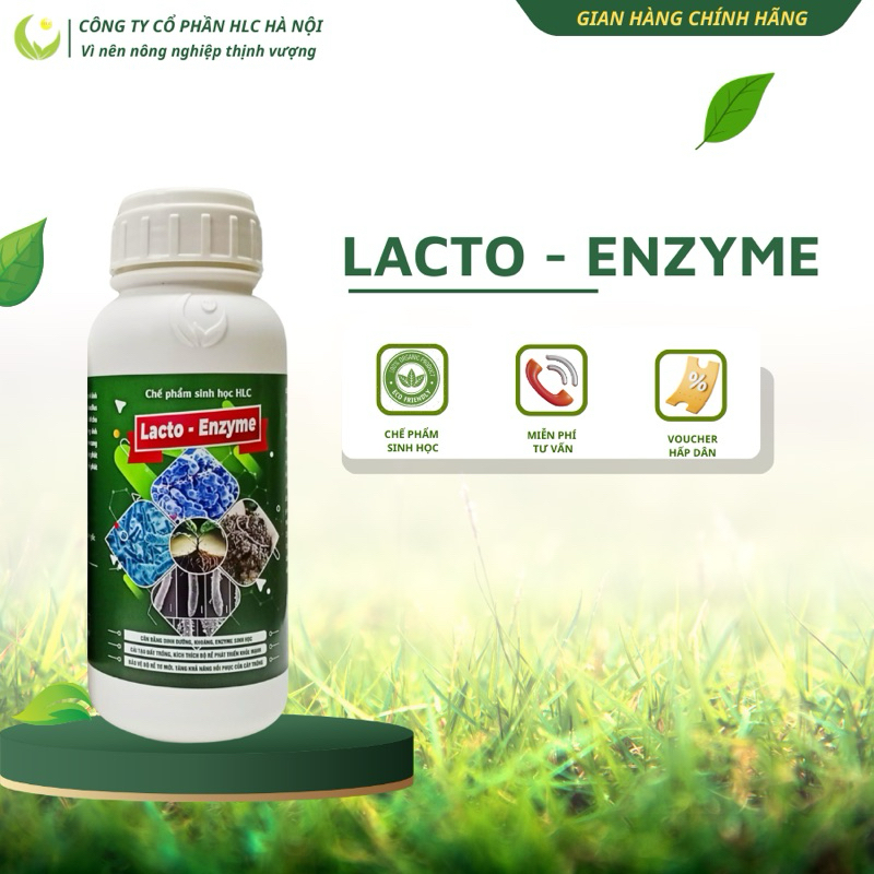LACTO - ENZYME CHAI 500ml | Shopee Việt Nam