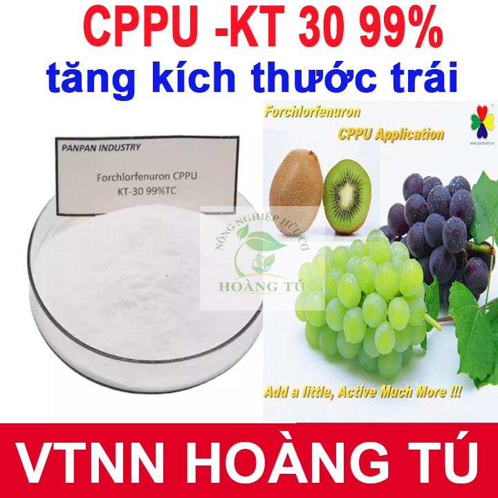 Cytokinin CPPU KT-30 99% (Tăng kích thước trái cây) Forchlorfenuron (gói 50g) | Shopee Việt Nam