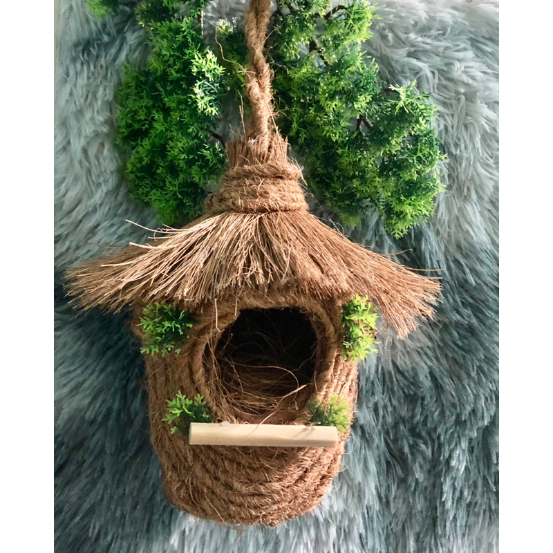 Tổ chim xơ dừa | Shopee Việt Nam