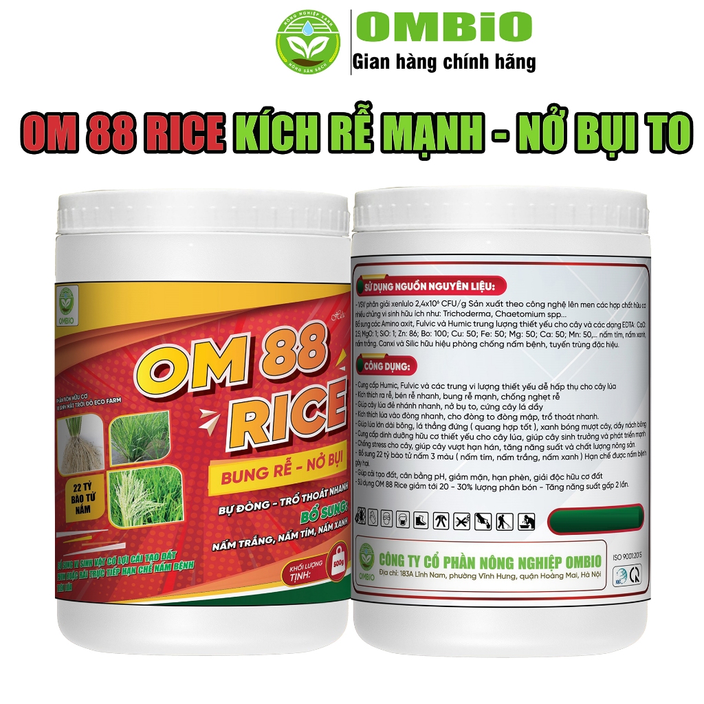 OM 88 RICE Giúp lúa ra rễ mạnh, đẻ nhánh nhanh, nở bụi to, bự đòng, trổ ...
