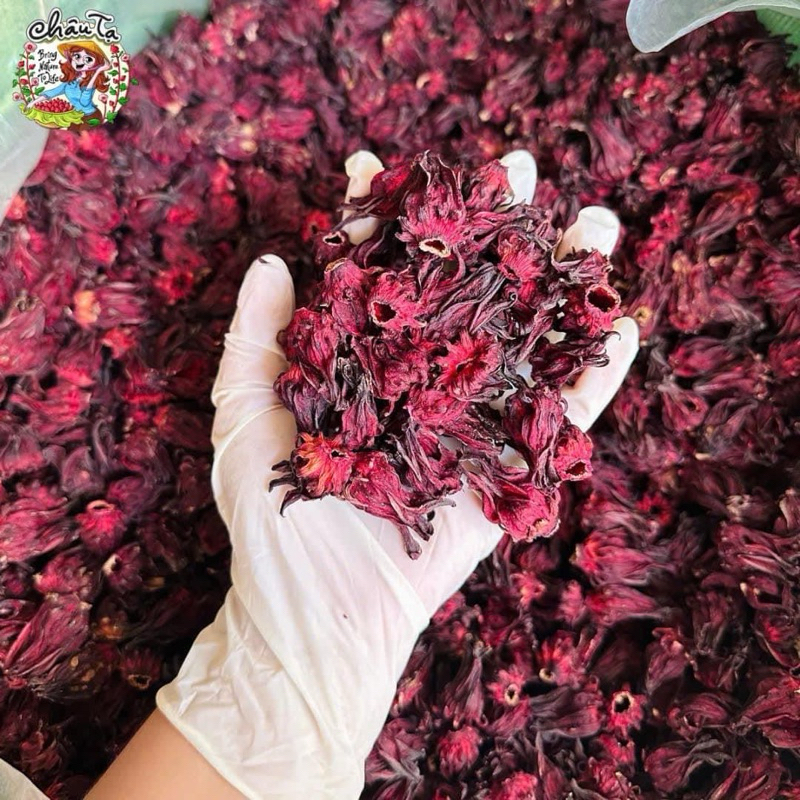 Atiso đỏ 100gr sấy khô | Shopee Việt Nam