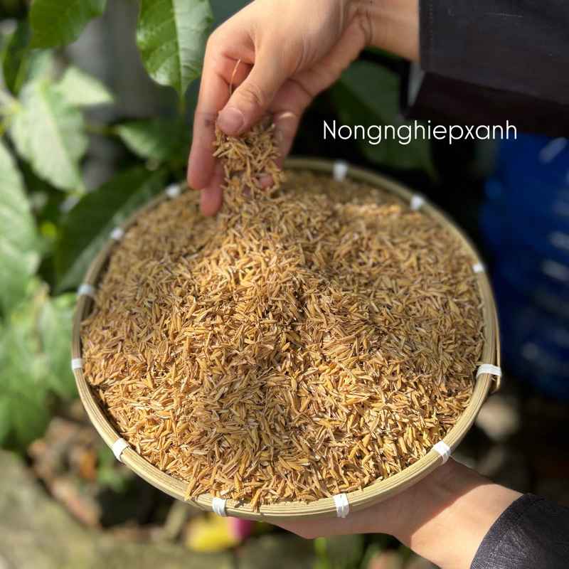 VỎ TRẤU , VỎ THÓC KHÔ DÙNG ĐỂ TRỘN ĐẤT , TRỒNG RAU HOA KIỂNG , TẠO ĐỘ ...