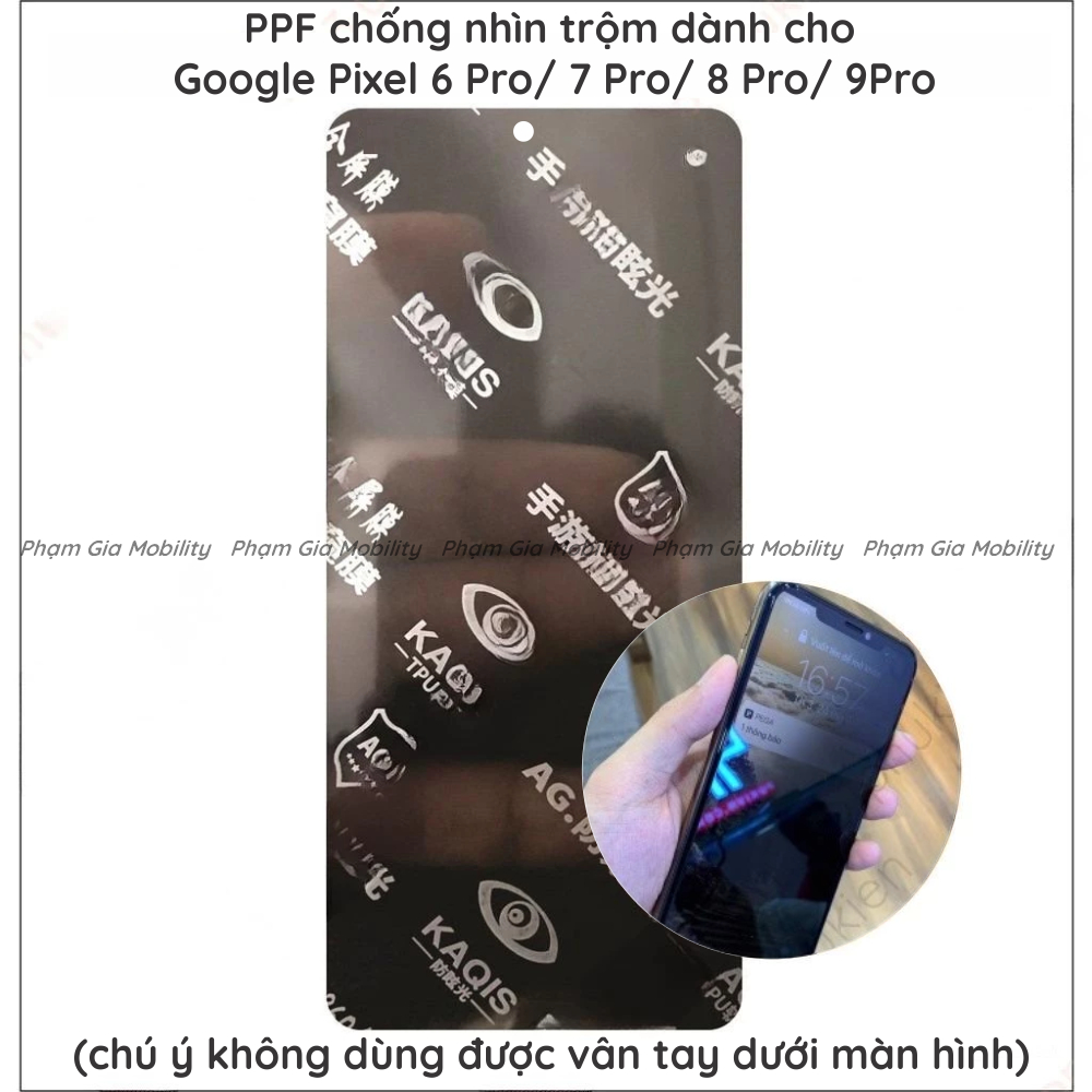 Dán PPF chống nhìn trộm Google Pixel 6 Pro/ Pixel 7 Pro/ Pixel 8 Pro ...