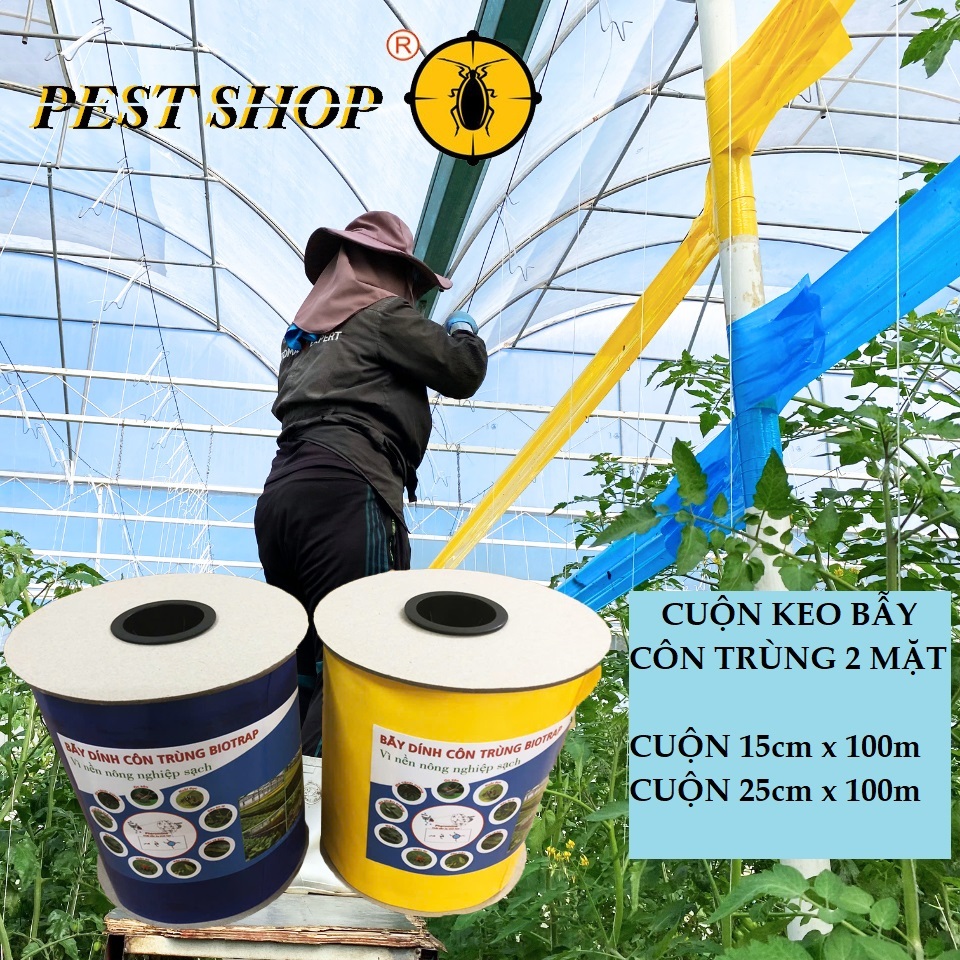 Bẫy côn trùng 2 mặt Bio Trap Vàng/ Xanh ( Cuộn 100m ) - Nhập Khẩu ...