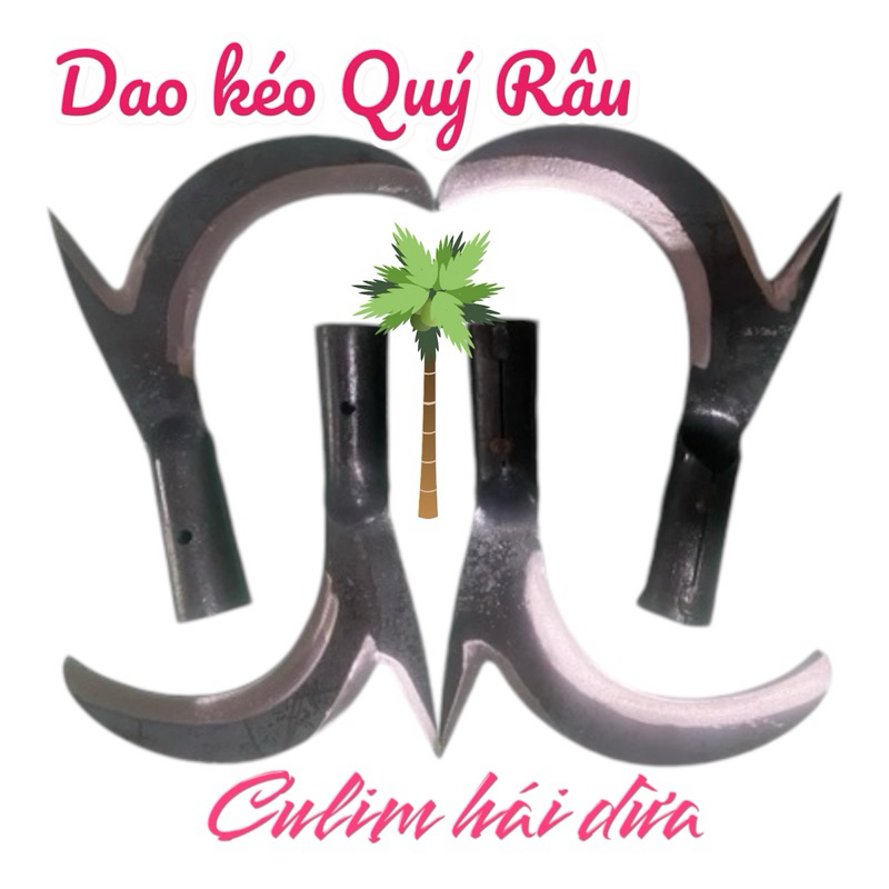 Cu lim hái dừa, giật nhánh cây, cành cây, culim được làm từ nhíp xe ô ...