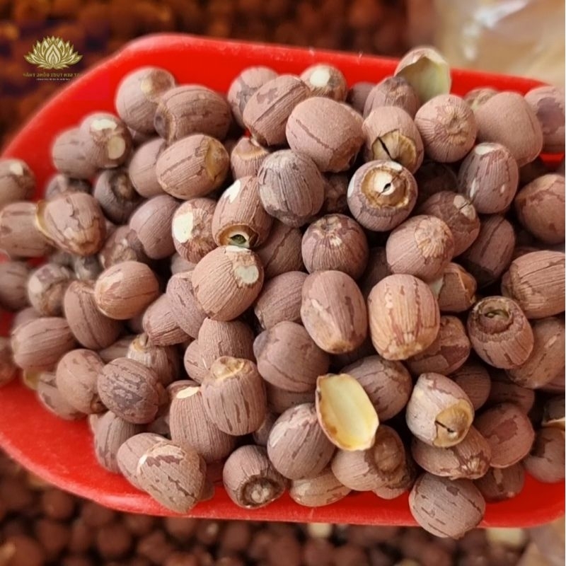1Kg Hạt Sen Rang Ăn Liền | Sen Đồng Tháp | Shopee Việt Nam
