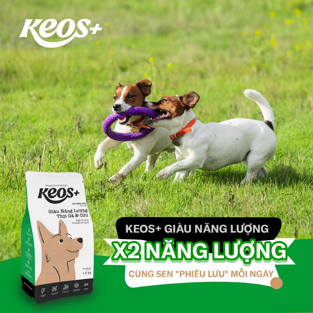 6KG Thức ăn cho chó Keos Plus Giàu Năng Lượng Thịt Gà & Cừu - Keos+ High Protein Chicken & Lamp ...
