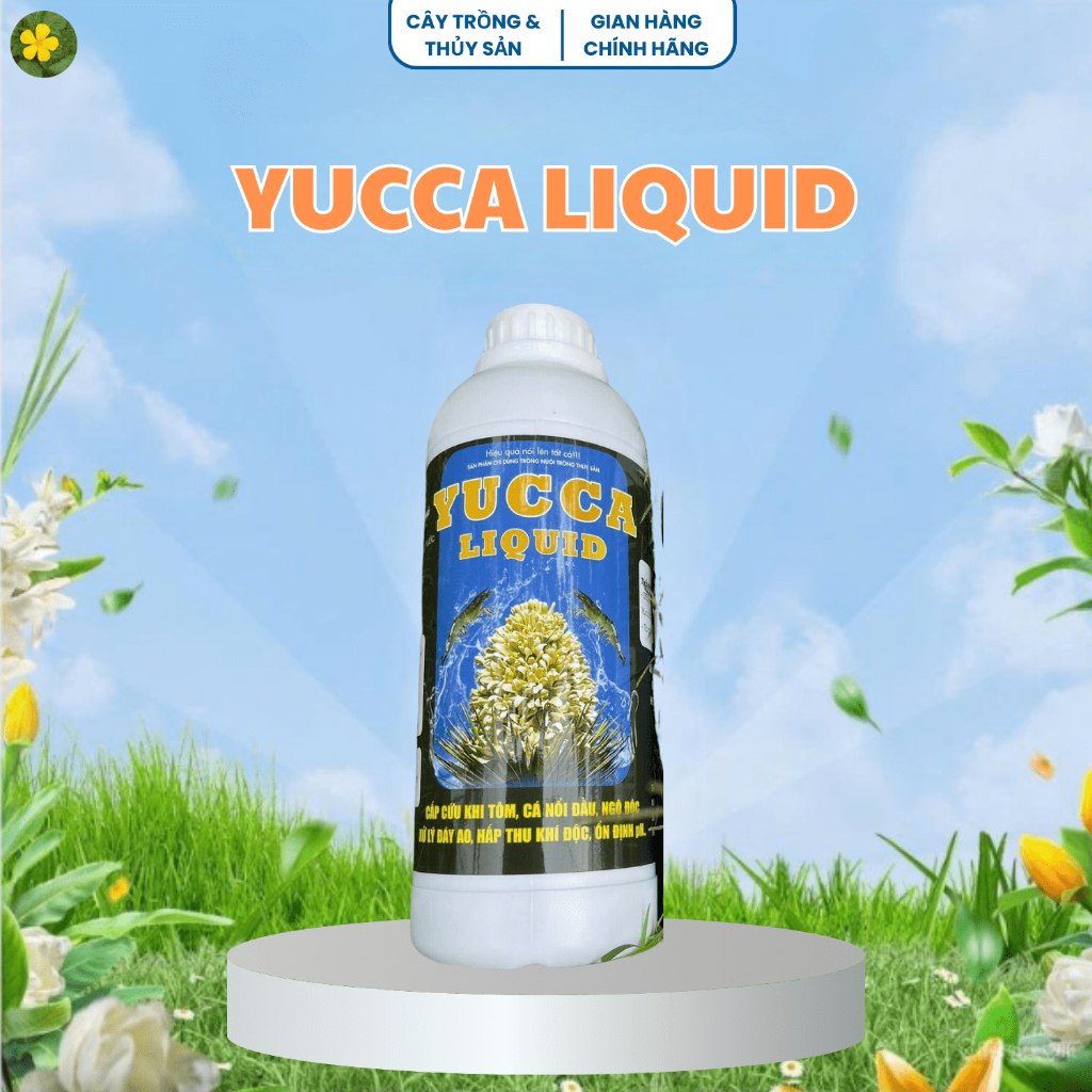 YUCCA LIQUID | Shopee Việt Nam