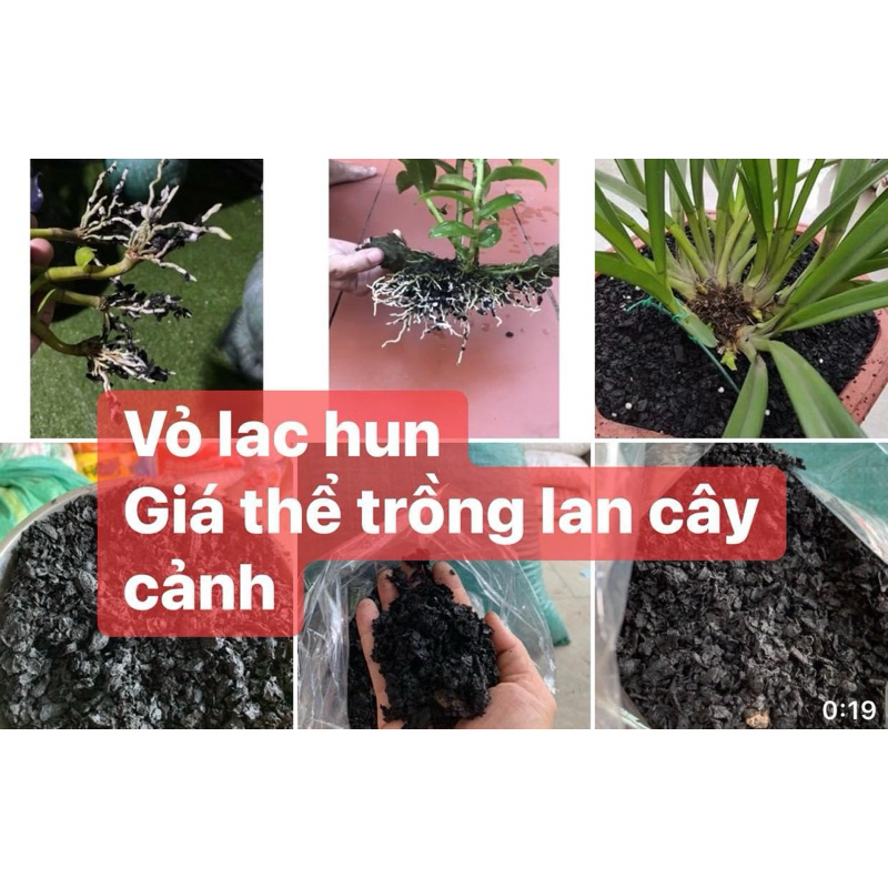 Vỏ lac hun gia thể vỏ lạc hun trồng lan cây cảnh túi 1 kg | Shopee Việt Nam