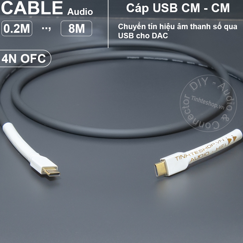 Dây USB C 2 đầu chơi nhạc từ Máy tính Điện thoại sang DAC - USB type-C ...