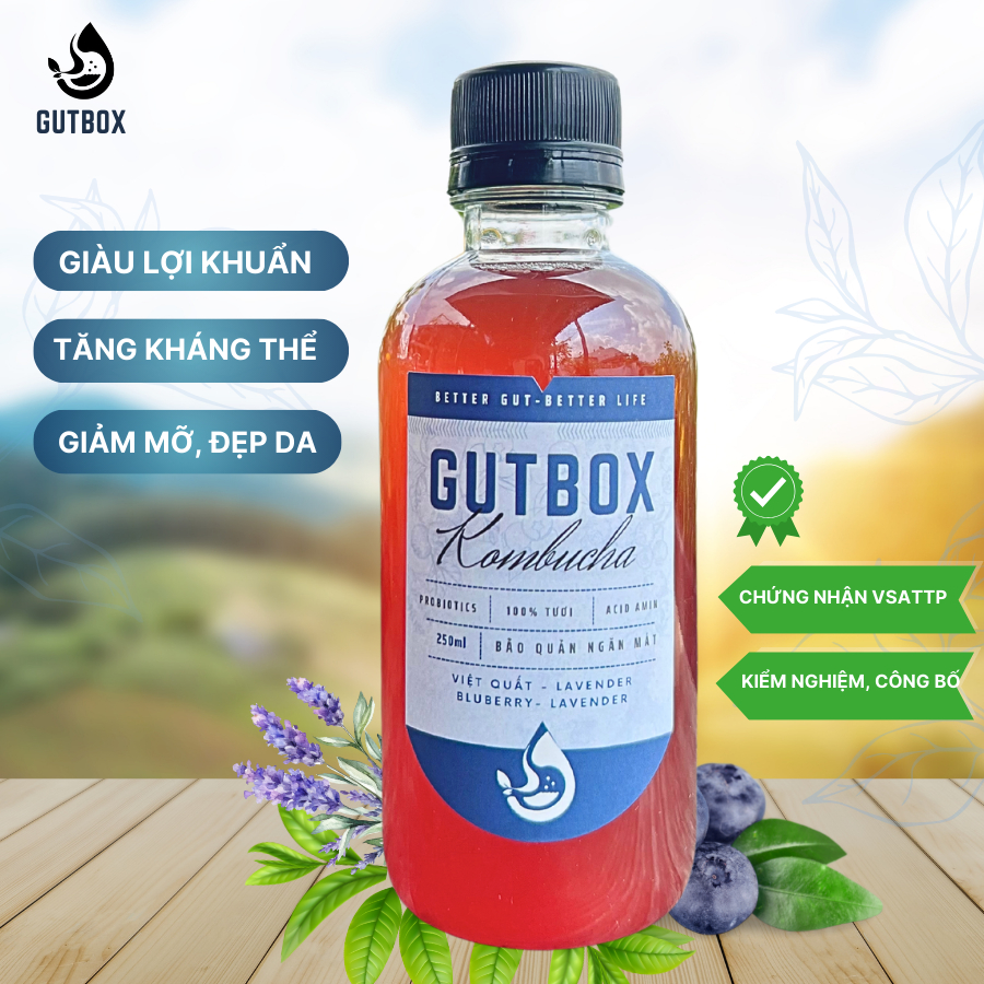 Gutbox Kombucha - Trà Kombucha hoa quả Tươi (chai 250ml) | Shopee Việt Nam