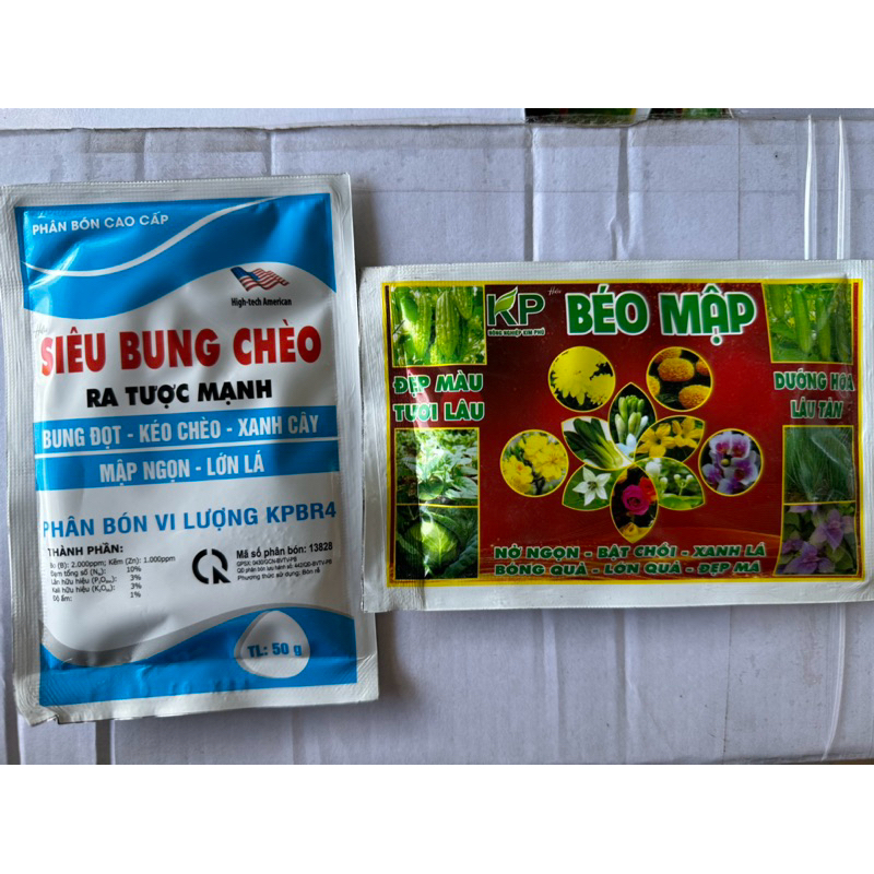 COMBO SIÊU BUNG CHÈO + BÉO MẬP kích thích bung tược nhanh- lá to xanh ...