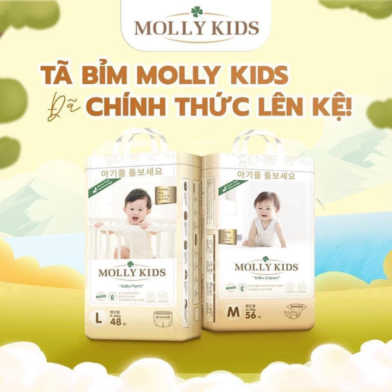 (Kq)Tã Bỉm MOLLY KIDS Hàn Quốc Dán/Quần Đủ Size NB66/S62/M56//M52/L48 ...