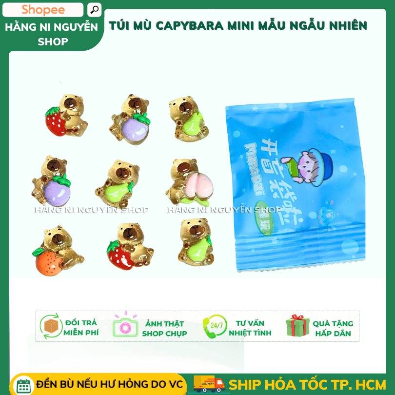 Combo 10 túi mù Capybara phát sáng- túi mù tự xé món quà bất ngờ (mix ...