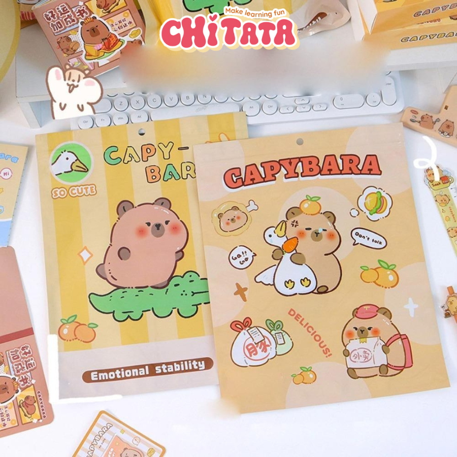Túi Quà Capybara RỖNG Dung Tích Lớn Đóng Gói Quà Túi Quà Tặng Chống ...