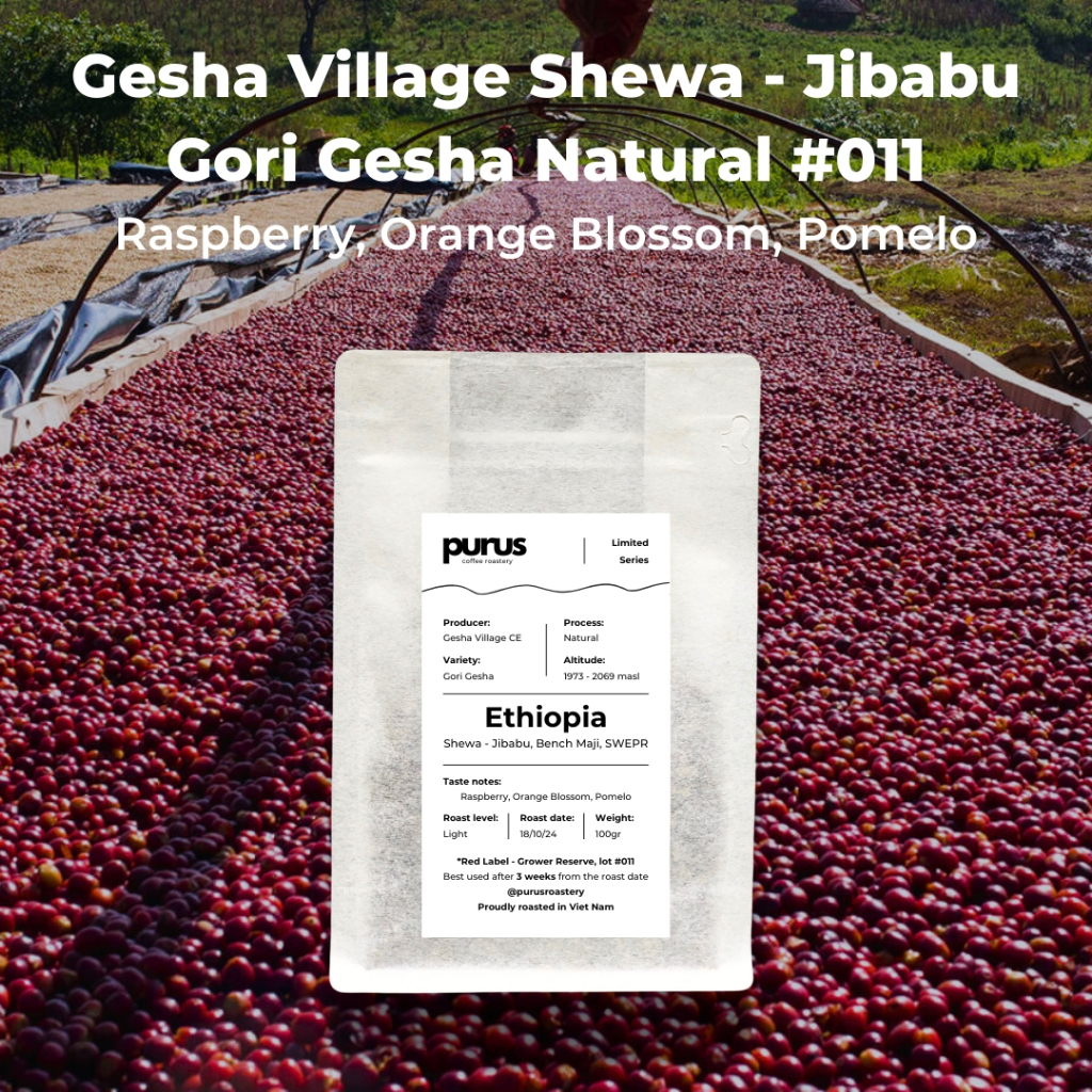 [LIMITED SERIES] Cà phê đặc sản Ethiopia Gesha Village Shewa - Jibabu ...