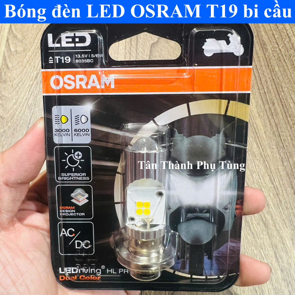 Bóng đèn LED bi cầu OSRAM T19 (8035BC) cho xe Dream, Wave alpha đời đầu, Wave 125i, Wave ZX ...
