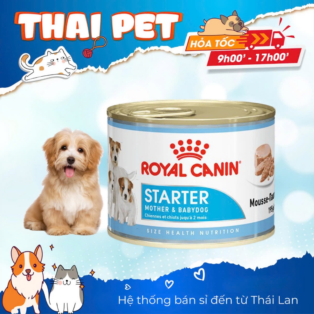 Royal Canin Starter Mother & Baby Dog (Lon 195g) | Shopee Việt Nam