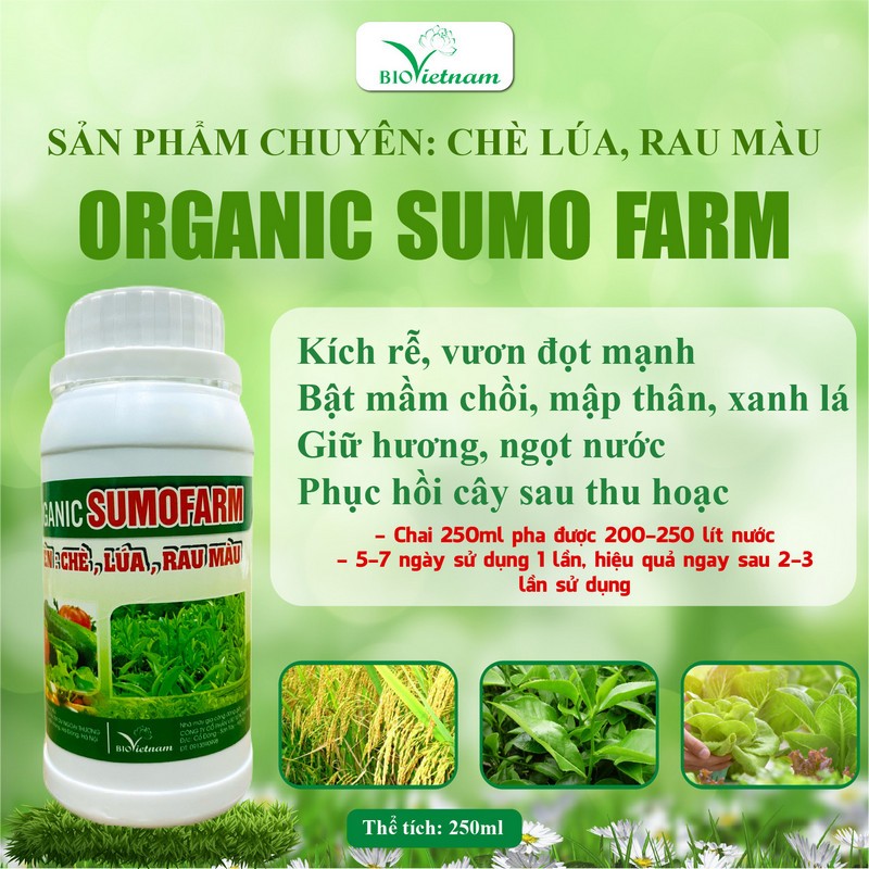 Organic Sumo Farm Bio Việt Nam – Chuyên Lúa Và Rau Màu Bio Việt Nam ...