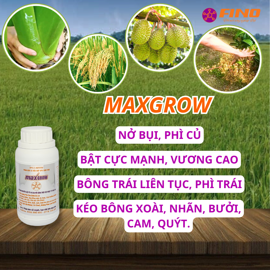 Chai MAXGROW (250ml)_Phân Bón Phun Qua Lá_Nở Bụi, Phì Củ, Bật Cực Mạnh, Vươn Cao, Bông Trái Liên ...