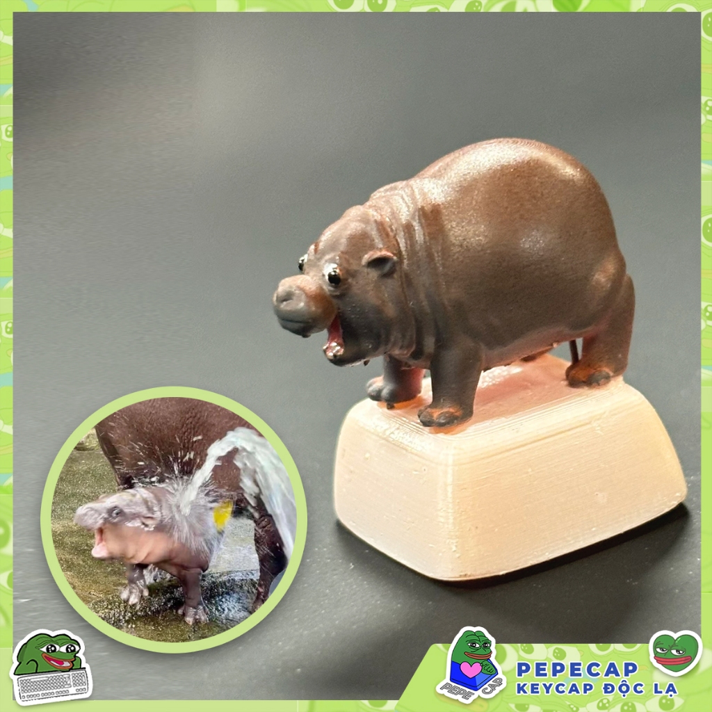 Keycap hà mã Moo Deng sợ hãi các thứ - Nút bàn phím Moo-Deng meme - Độc ...