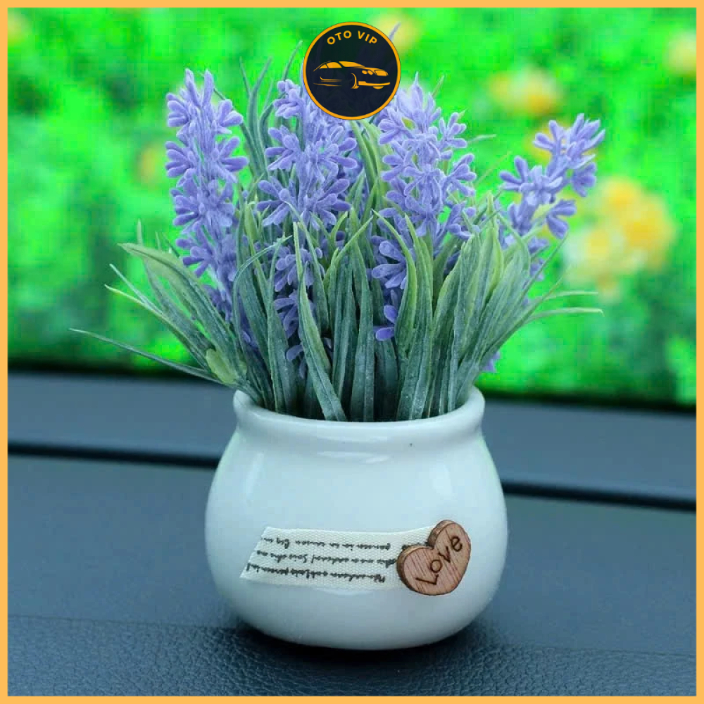 Chậu cây lá xanh mix hoa tím trang trí tablo xe hơi, chậu cây mix set ...