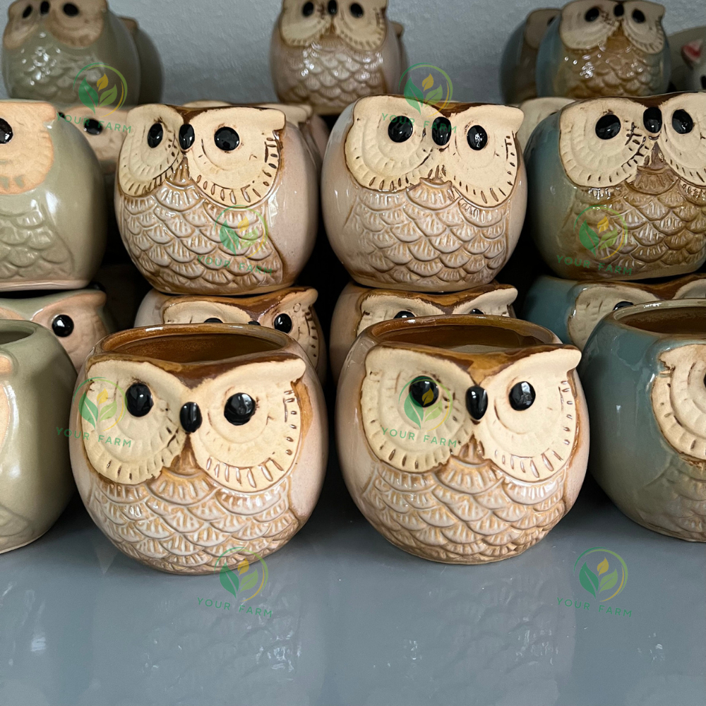 [RẺ VÔ ĐỊCH] Chậu sứ trồng cây hình cú mèo dáng tròn 7x6.5cm, đa dạng ...