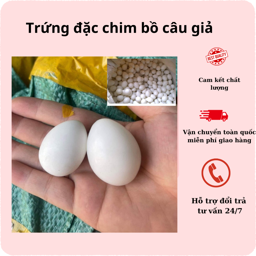 10 Trứng đặc cho chim bô câu, trứng chim bô câu giả, trứng bồ câu bằng ...