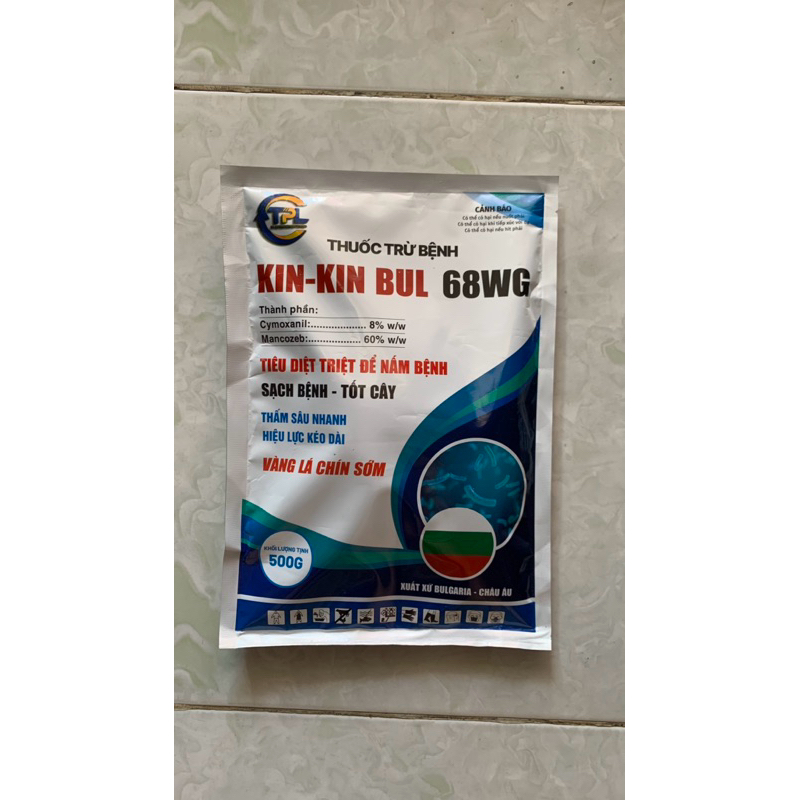 TTB KIN KIN BUL vàng lá chín sớm, sương mai, chết cây con… | Shopee ...