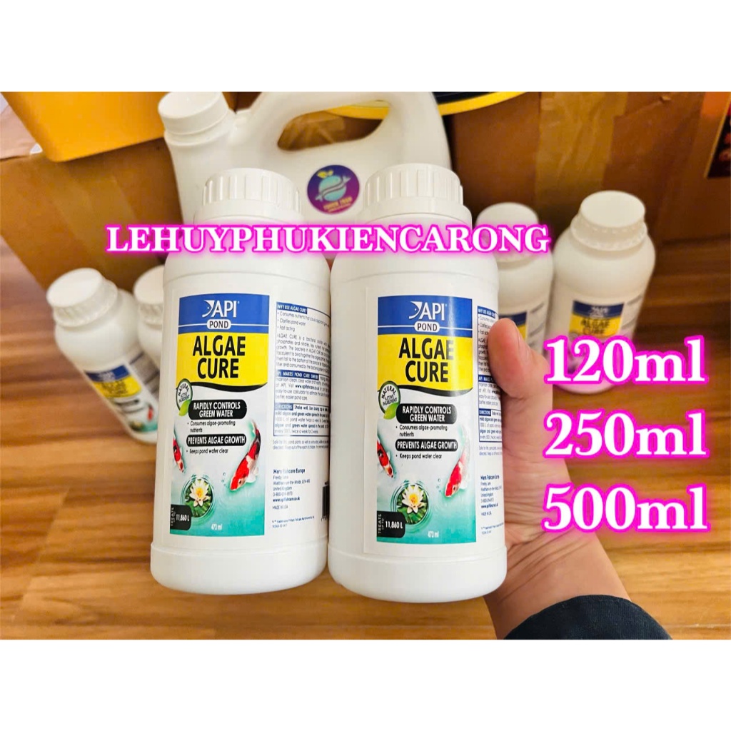 API Algae Cure Và API ACCU - CLEAR Vi Sinh Ăn Tảo Sống, Trong Nước Phân Hủy Chất Hữu Cơ Làm ...