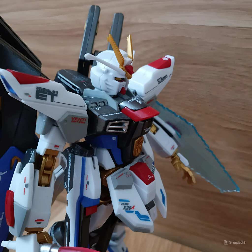 Mô Hình Lắp Ráp HG CE 201 Strike Freedom, 1/144 Custom màu matelic ...