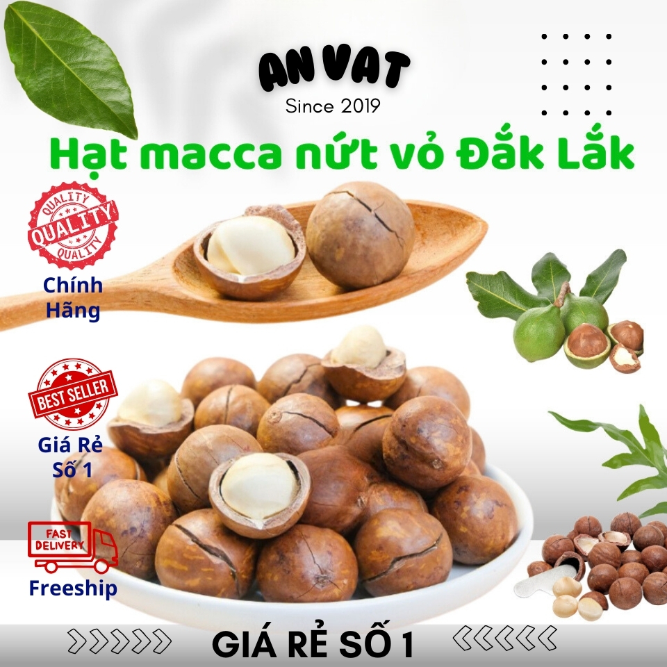 Hạt mắc ca, hạt macca, hạt macca nứt vỏ, Đắk Lắk sấy nứt vỏ, size đại ...