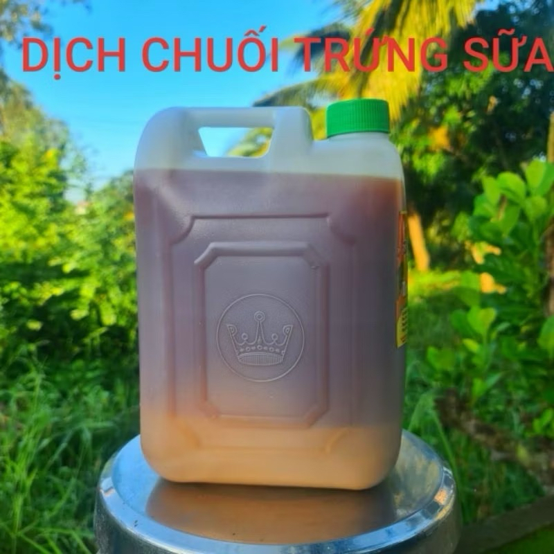 Dịch Chuối Trứng Sữa Bón Cây Chai 1 Lít | Shopee Việt Nam