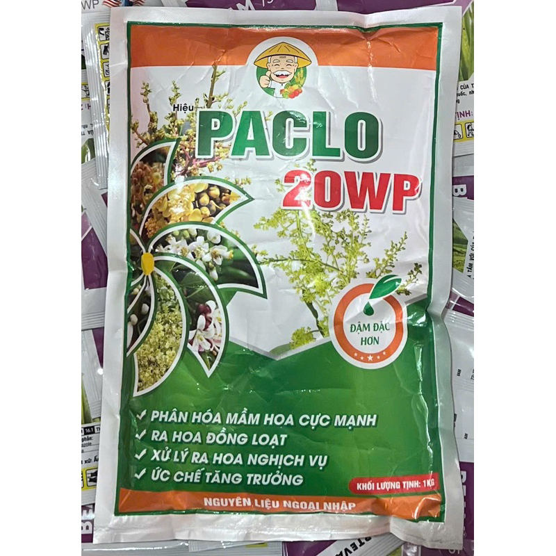 PACLO 20WP CAO CẤP gói 1kg chuyên phân hoá mầm hoa cực mạnh- ra hoa ...