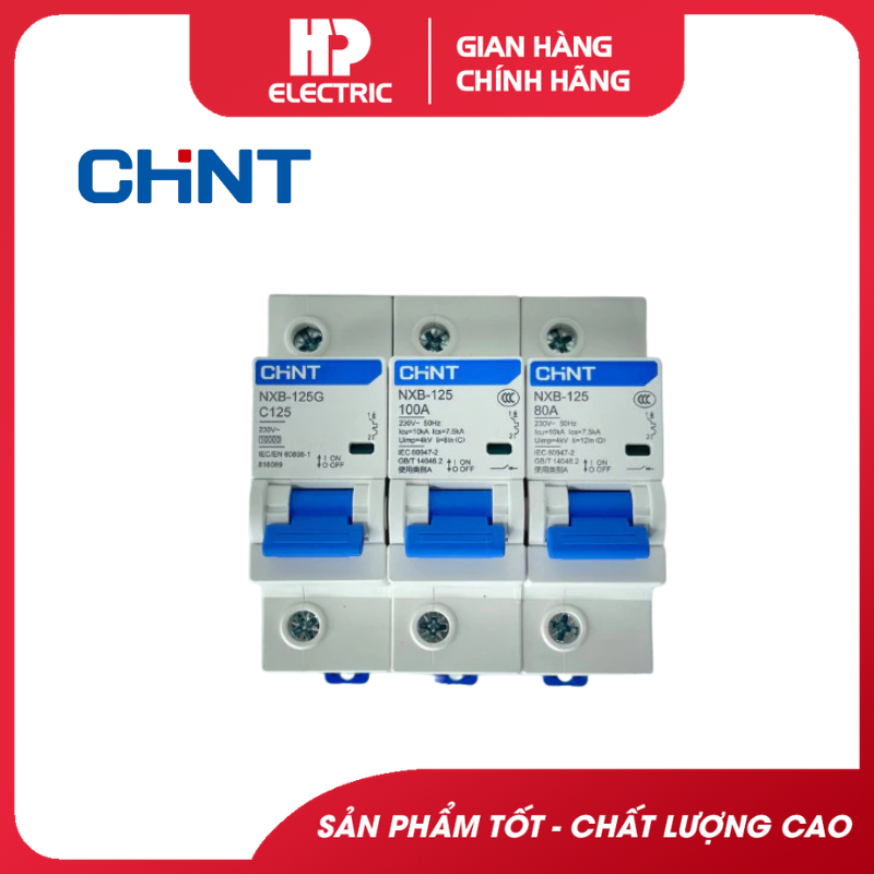 MCCB LOẠI NXB-125 CHINT MCB 1P 2P 3P 80A/100A/125A - Dòng cắt 10KA ...