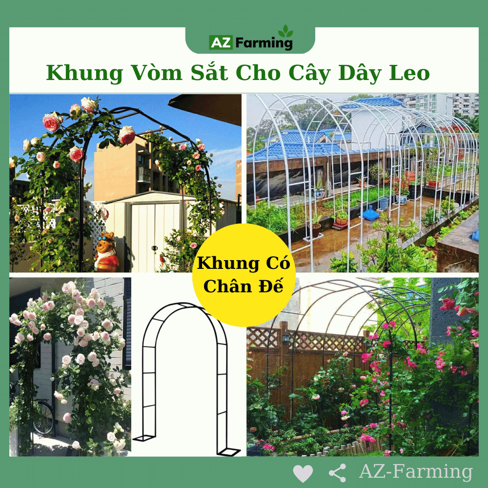 Khung Vòm Sắt Trồng Cây Hoa Dây Leo (Khung Có Chân Đế) - Trang Trí Vườn ...