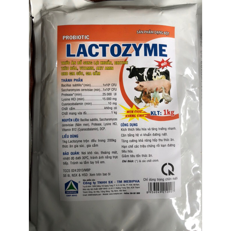 Men tiêu hóa LACTOZYME 1kg. | Shopee Việt Nam