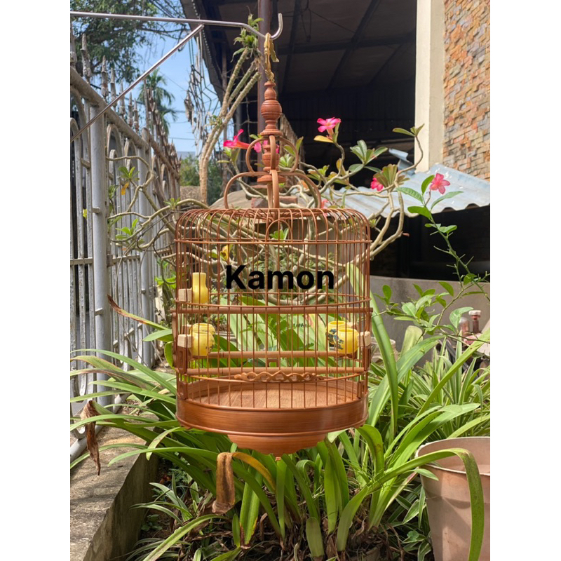 Lồng chim Vành Khuyên lồng trúc đục phom lùn 22x22 | Shopee Việt Nam