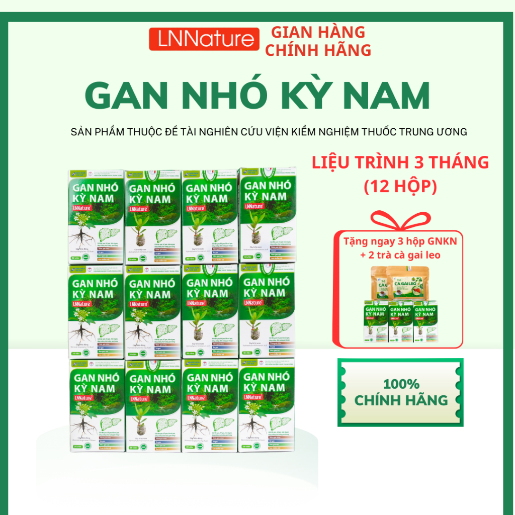Gan Nhó Kỳ Nam Chính Hãng [LIỆU TRÌNH 3 THÁNG 12 HỘP] tặng kèm 3 hộp ...