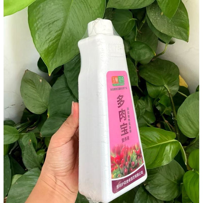 Kích Màu cho Sen Đá, Chai 550ml | Shopee Việt Nam