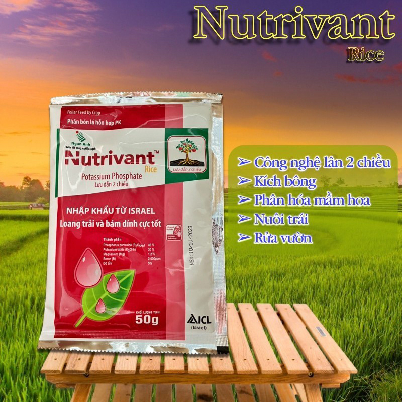 Phân Bón Lá NUTRIVANT, Giải Pháp Tăng Năng Suất Lúa Tối Đa, Nở Bụi, Để ...