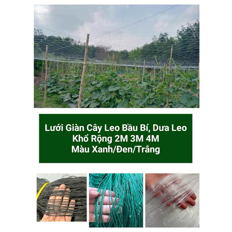 Combo 10M 20M 30M Dài Lưới Giàn Leo, Giàn Cây Leo Bầu Bí Khổ 2M 3M 4M Màu Đen/Xanh/Trắng ...