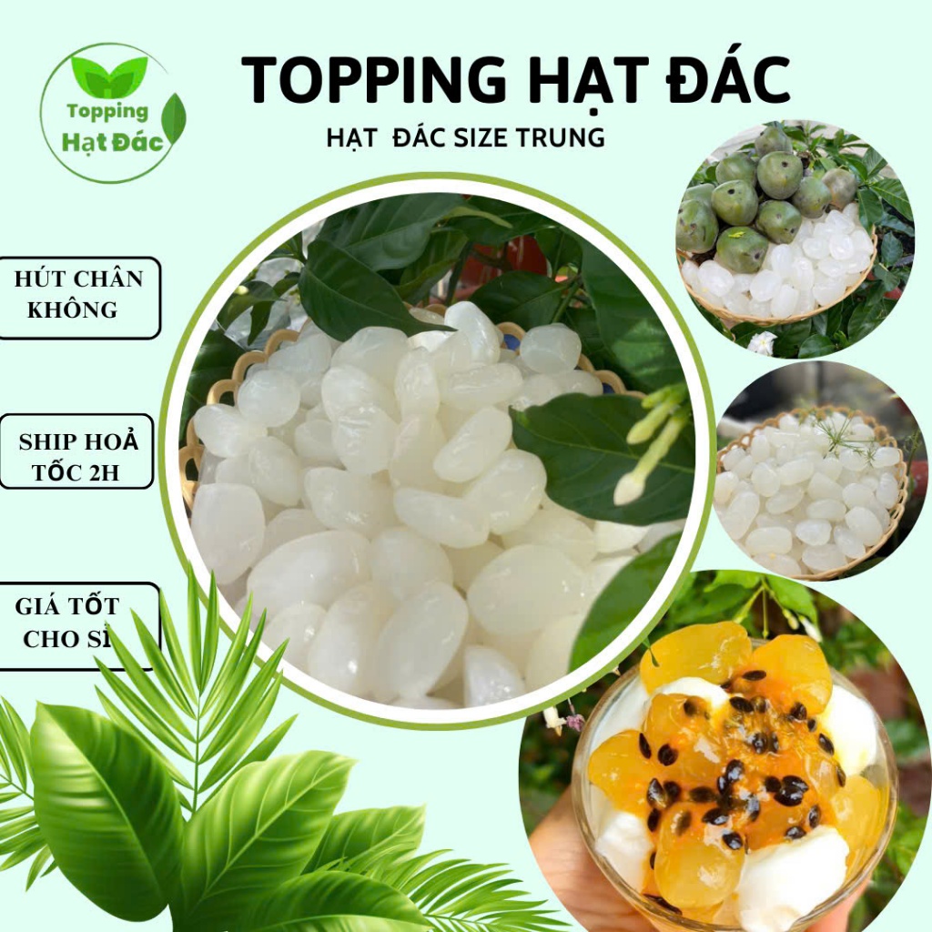 1KG HẠT ĐÁC tươi Khánh Hoà hạt trung lớn ≈ 30mm làm topping trà nấu chè ...