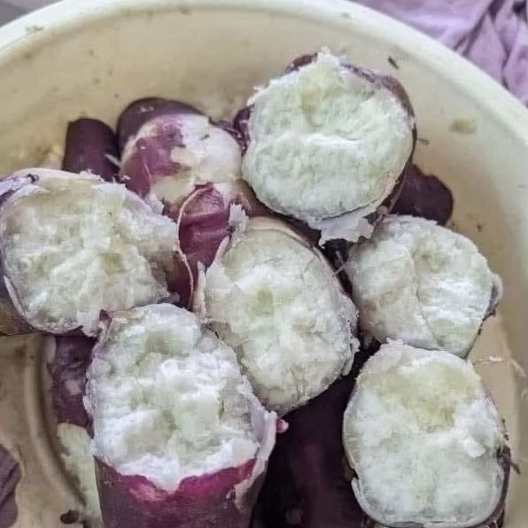 COMBO 5 kg Khoai Lang Lim điện biên, khoai trồng đất cát bở bung bảo ...