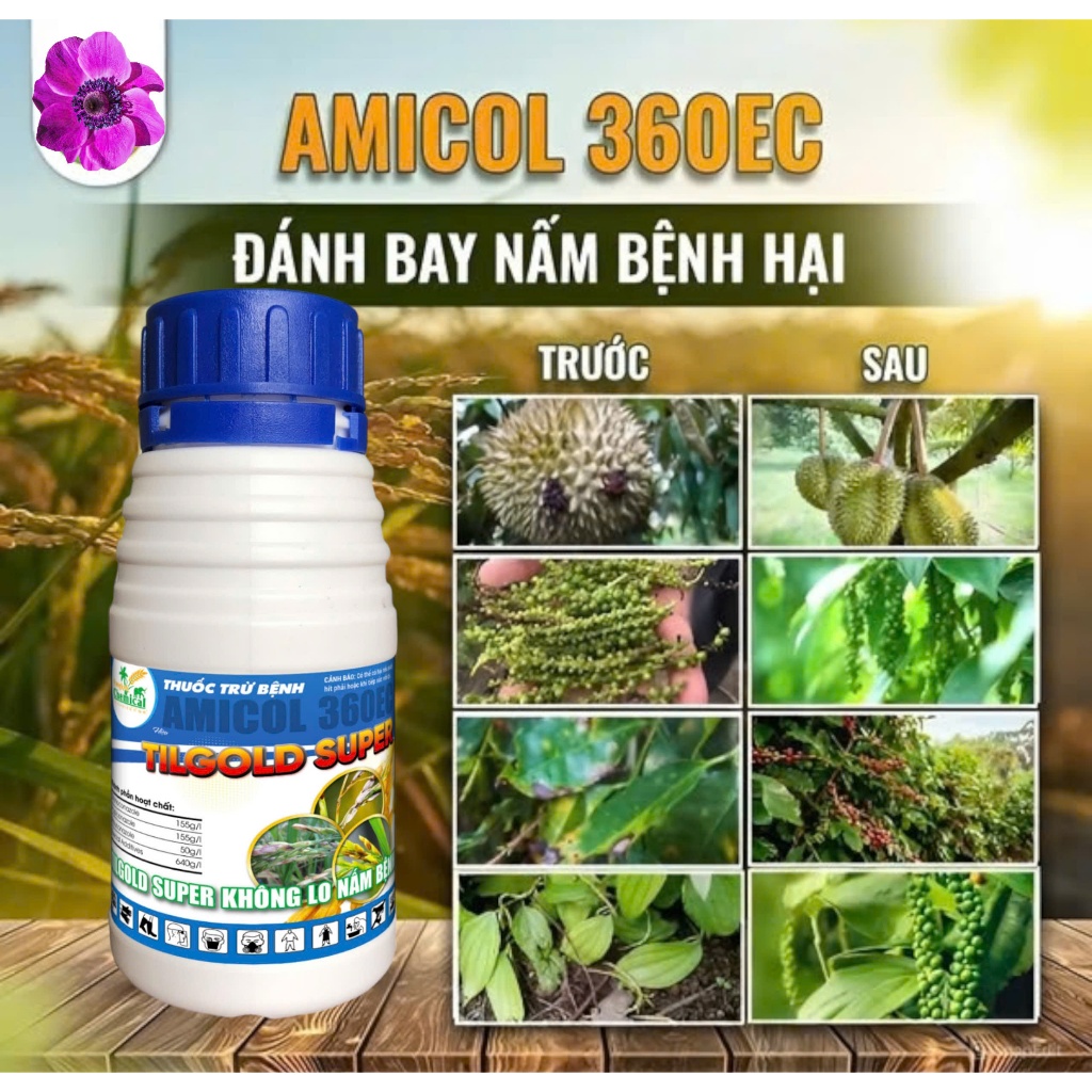 Thuốc trừ bệnh cây trồng Amicol 360EC hiệu Tilt Gold 240ml | Shopee ...