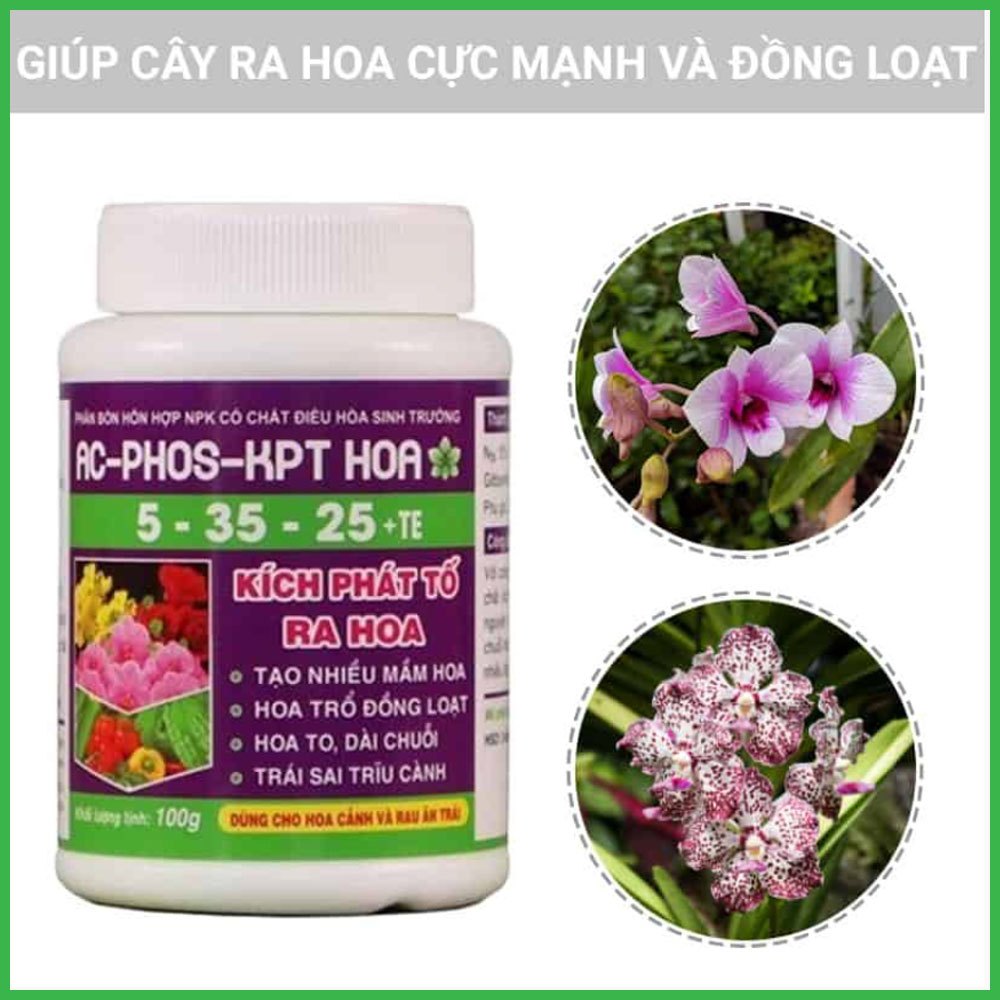 Phân bón AC phos 5-25-35 TE 100g và 500g | Shopee Việt Nam