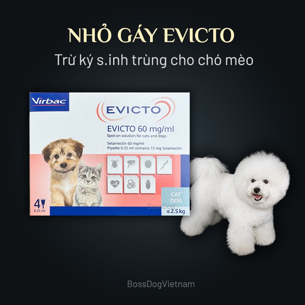 Nhỏ gáy cao cấp Evicto cho cún nhỏ - Chuyên dành cho chó con dưới 2kg ...