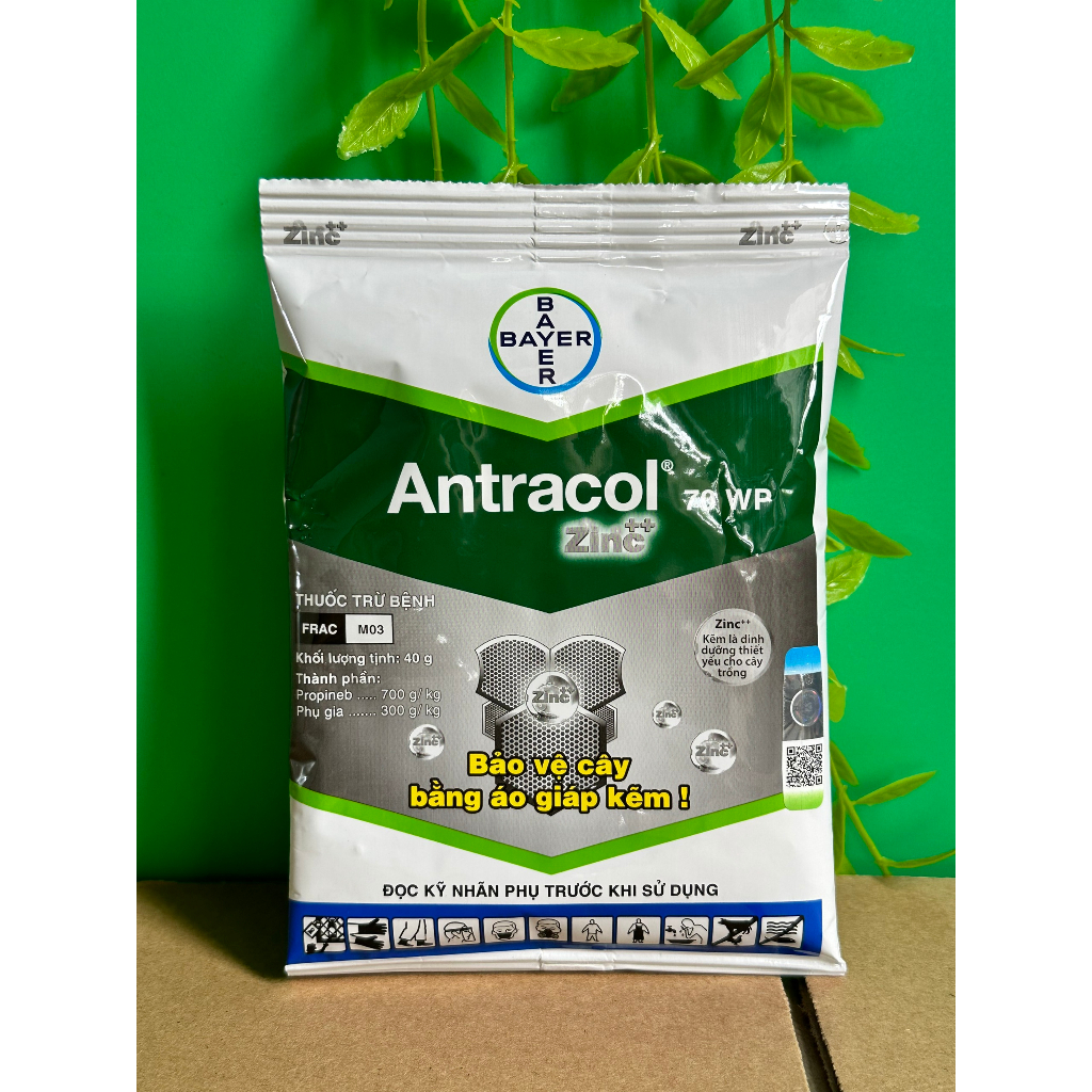 Thuốc trừ nấm bệnh hoa hồng, hoa lan, cây kiểng, cây trồng Antracol ...